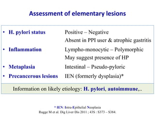 Olga staging system for diagnosis of gastritis | PPTX