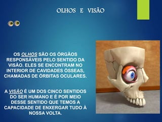 Olho e Visão - (Trabalho em Grupo - 8º ano Escola EIA) | PPTX