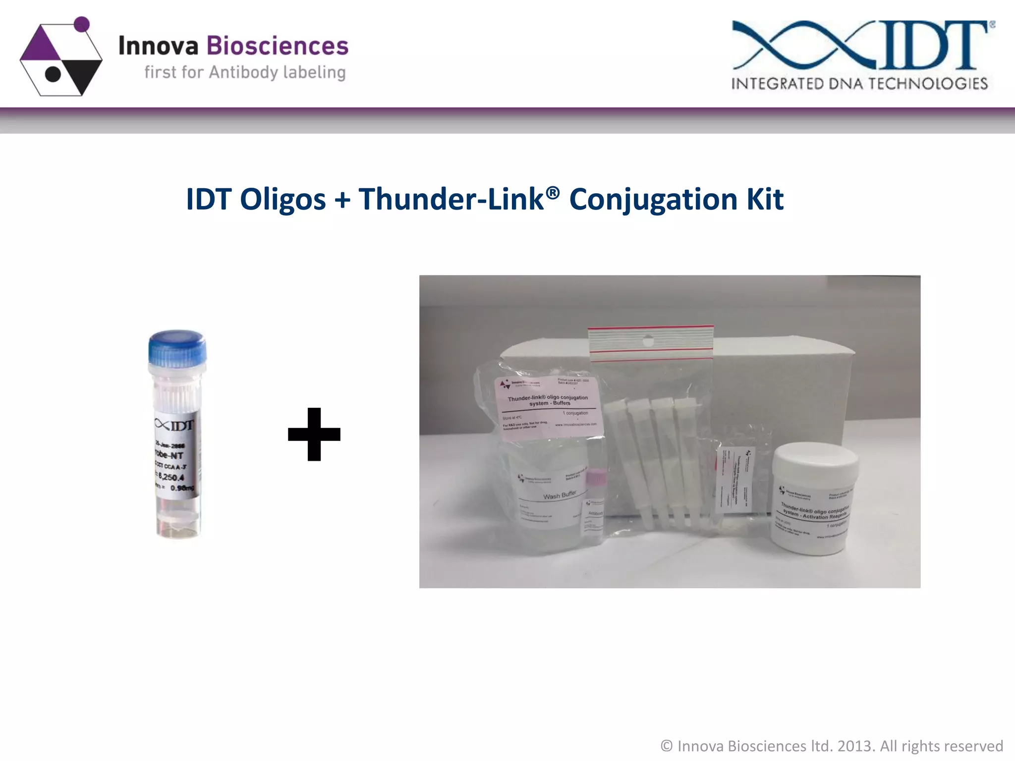 Oligo:Antibody Conjugates—An Application Guide | PDF