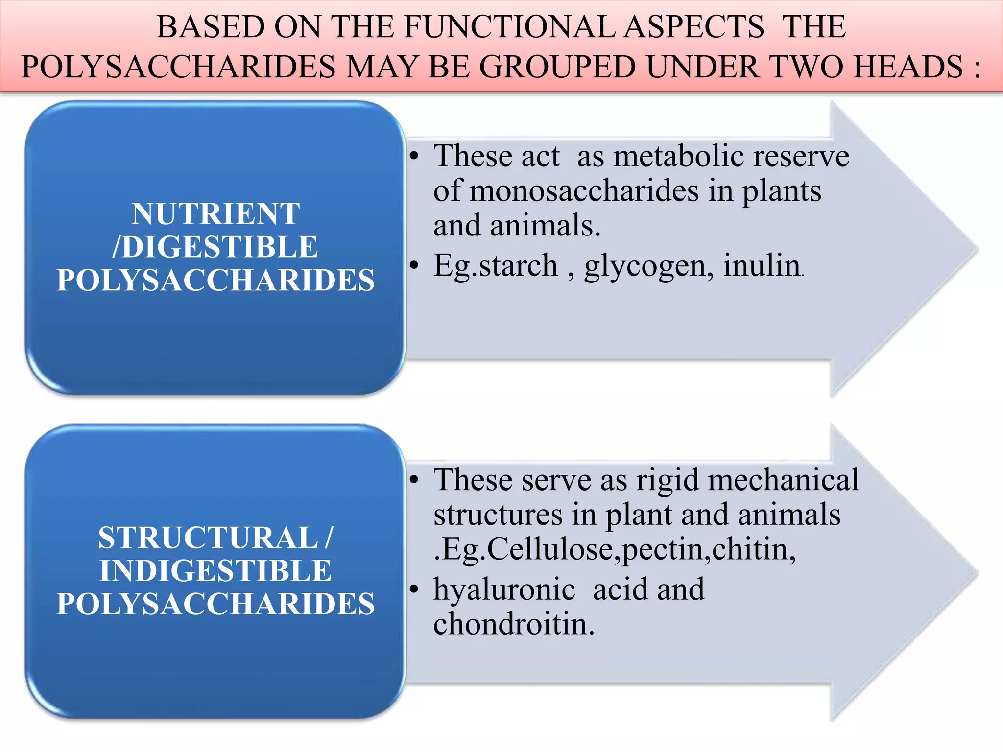 Oligo and polysaccharides | PPTX | Chemistry | Science