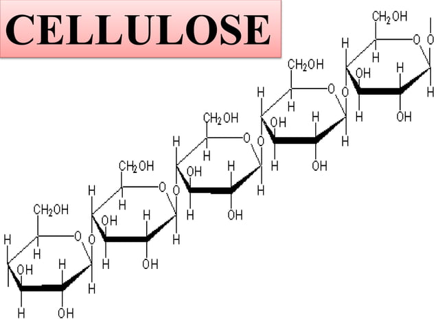Oligo and polysaccharides | PPTX | Chemistry | Science