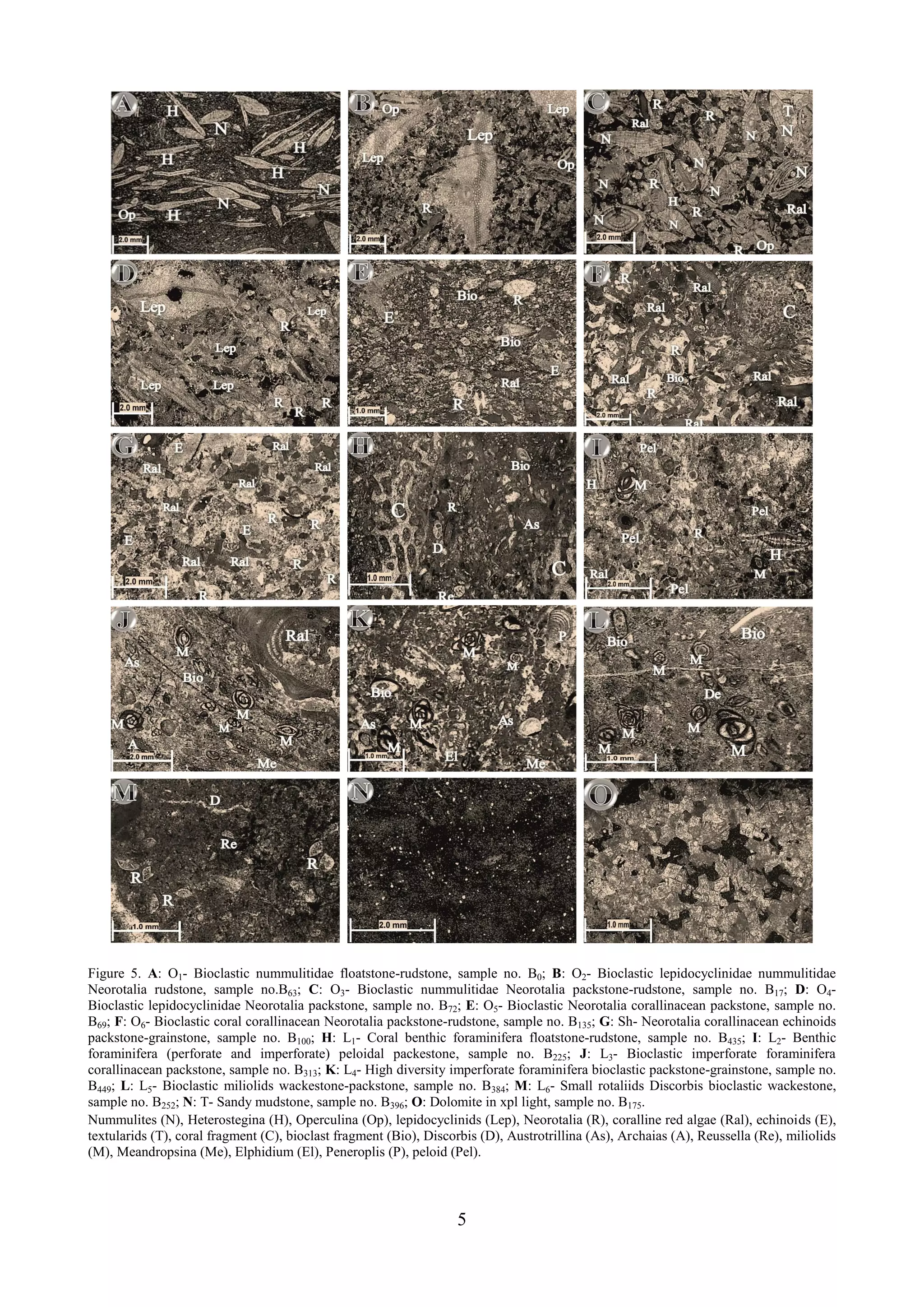 Oligocene ramp system (asmari formation) in the west of fars province ...
