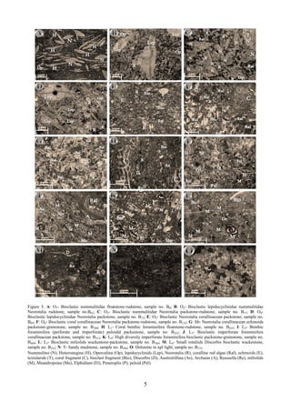 Oligocene ramp system (asmari formation) in the west of fars province ...