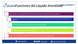 Oligohidroamnios - Polihidramnios en ginecología .pptx