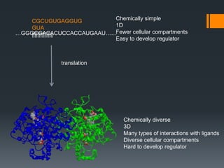 Oligoinformatics And Drug Development | PPT