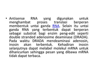Oligonucleotide | PPTX