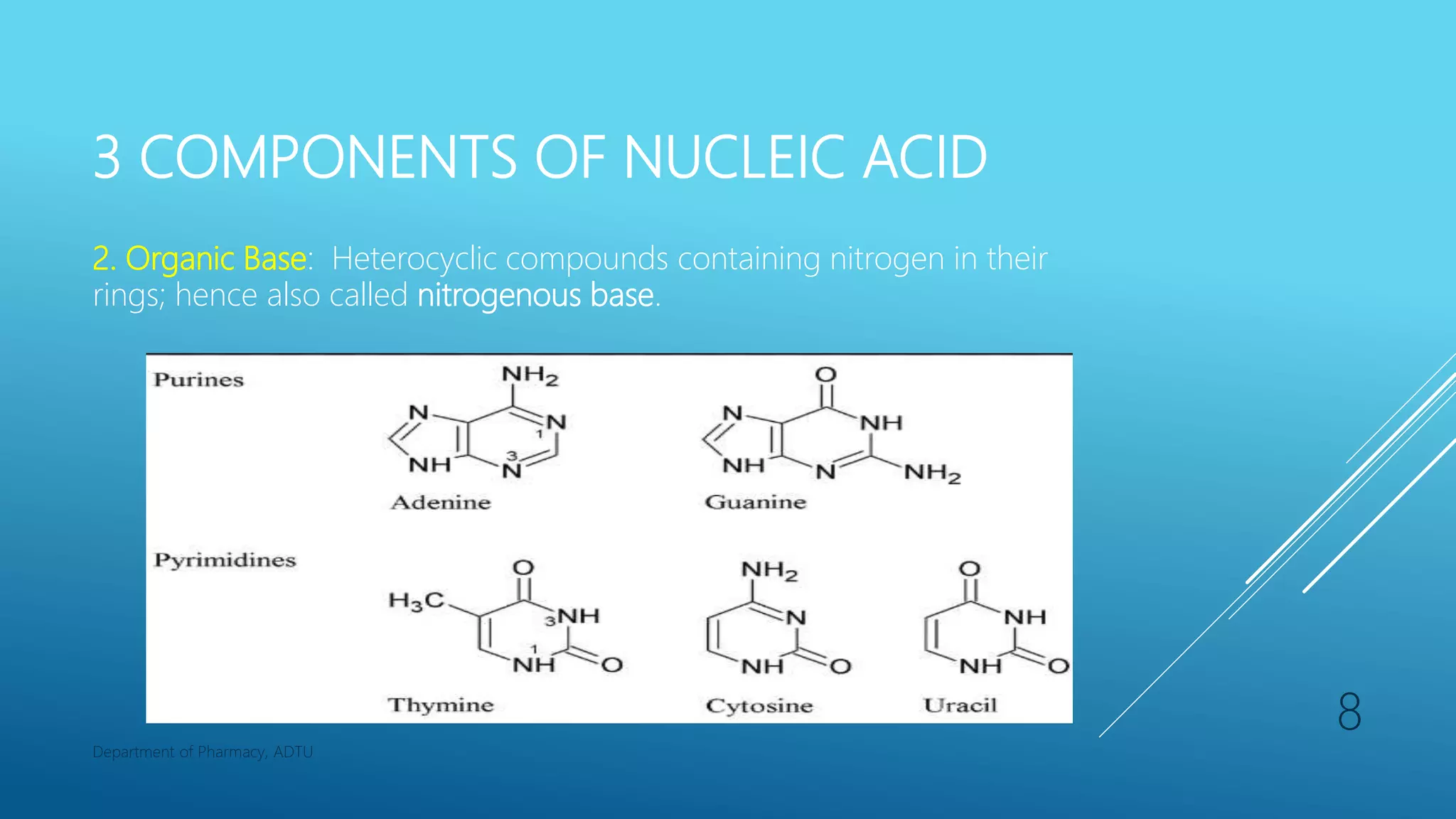Oligonucleotide | PPTX