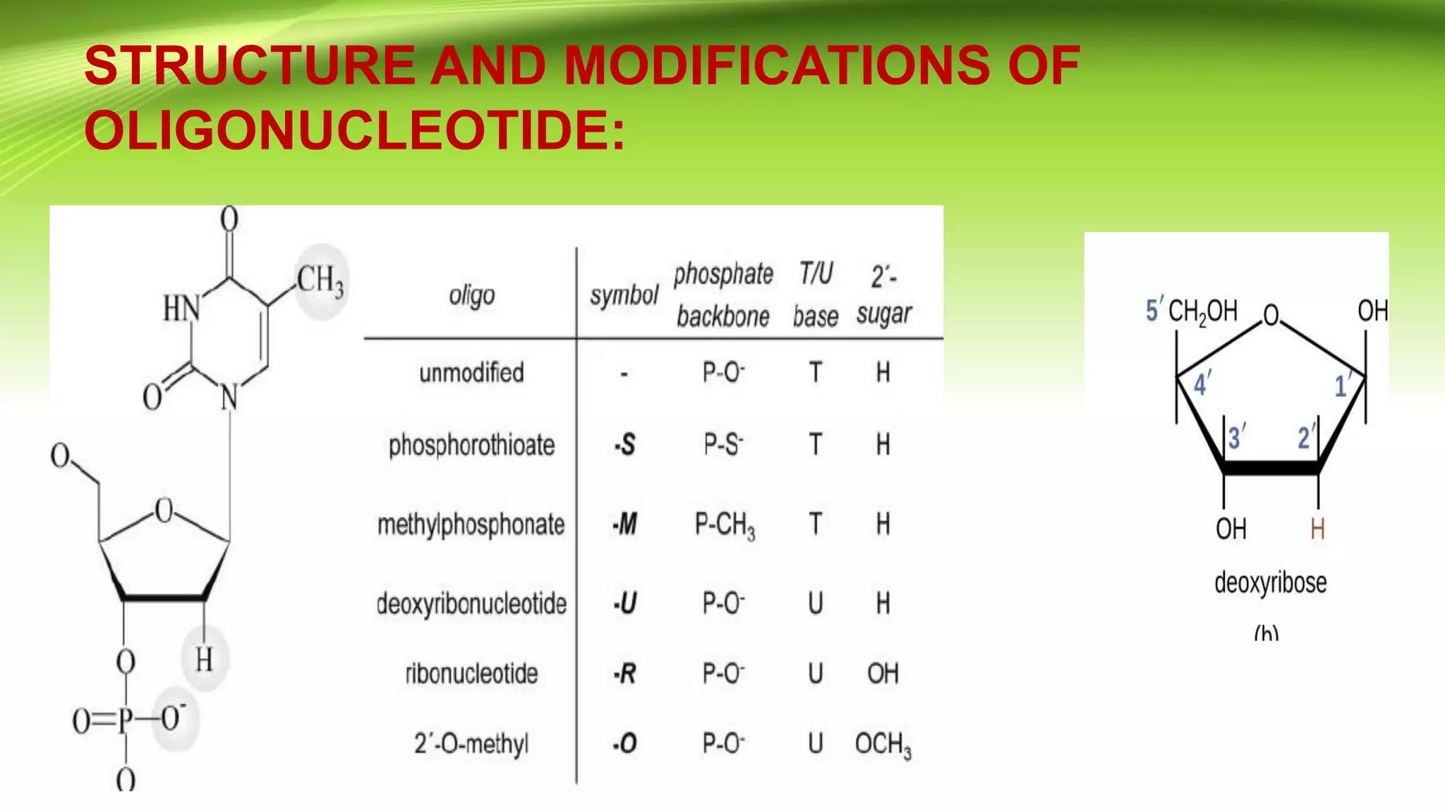 Oligonucleotides | PDF