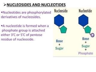 Oligonucleotides,Aptamers,Antisence oligonucleosides ppt | PPTX