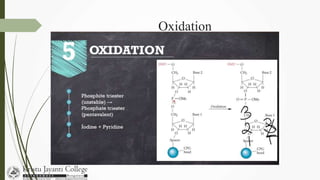 Oligonucleotide synthesis.ppt