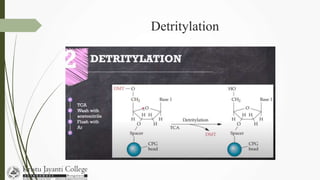 Oligonucleotide synthesis.ppt