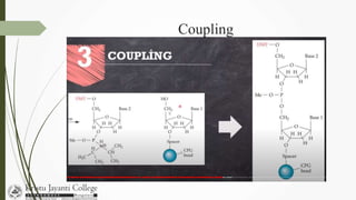 Oligonucleotide synthesis.ppt