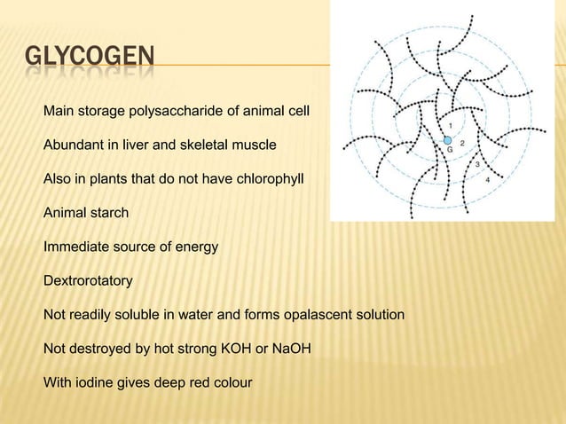 Oligosaccharides | PPTX