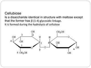 Oligosaccharide Structure