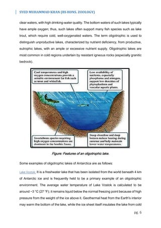 Oligotrophic Microbes - Life at Low Nutrient Concentrations | PDF