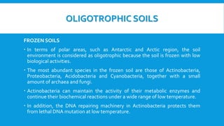 Oligotrophic Microbes - Life at Low Nutrient Concentrations | PDF