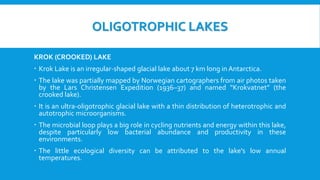 Oligotrophic Microbes - Life at Low Nutrient Concentrations | PDF