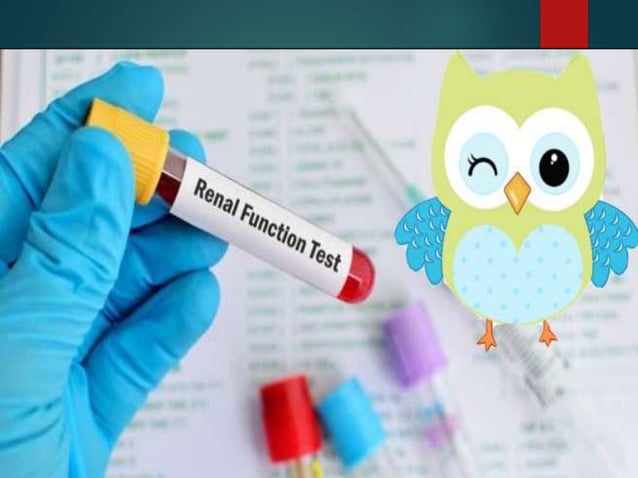 Oliguria and anuria | PPTX | Lung and Respiratory Health | Diseases and ...