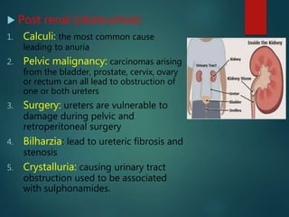 Oliguria and anuria | PPTX | Lung and Respiratory Health | Diseases and ...