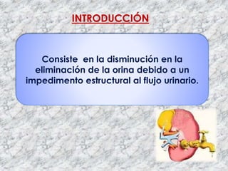Oliguria y anuria | PPTX
