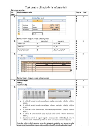 olimpiada-excel.docx