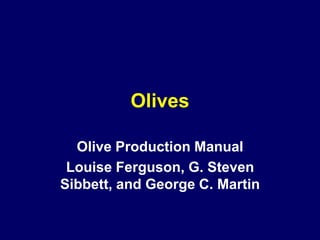 Olive presentation.ppt