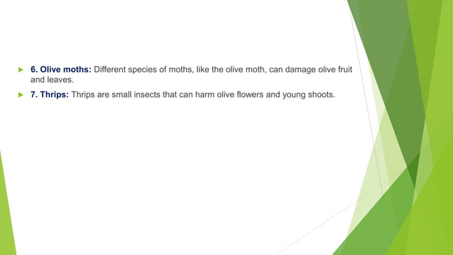 Olive | PPTX | Agriculture | Industries