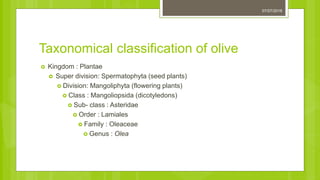 Olive in Nepal- challenges and prospects | PPTX