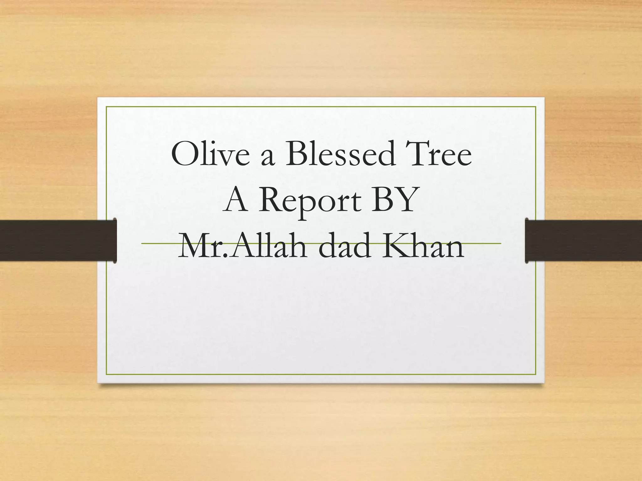 Olive a blessed tree A Presentation by Mr Allah Dad Khan Former DG Agri ...