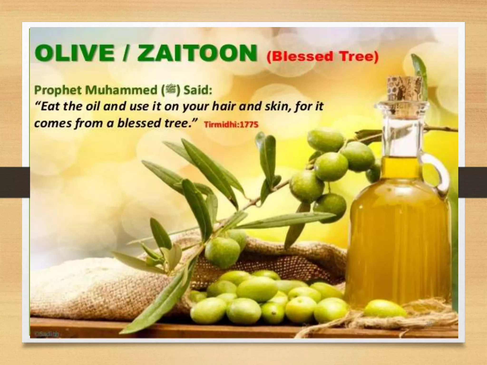 Olive a blessed tree A Presentation by Mr Allah Dad Khan Former DG Agri ...