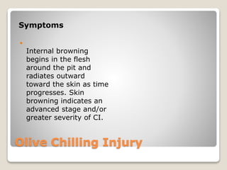 Olive physiological disorders A Lecture By Allah Dad Khan To FFS ...