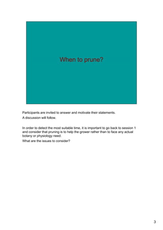 Olive pruning 4 li.ppt