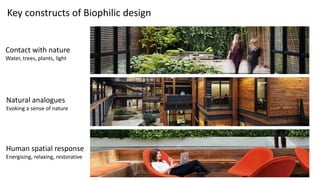 The Science & Style of Biophilic Design by Oliver heath | PPTX