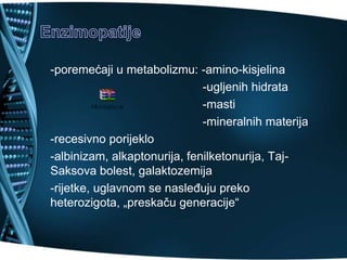 Olivera lučić prezentacija | PPT