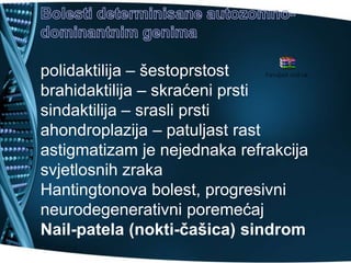 Olivera lučić prezentacija | PPT