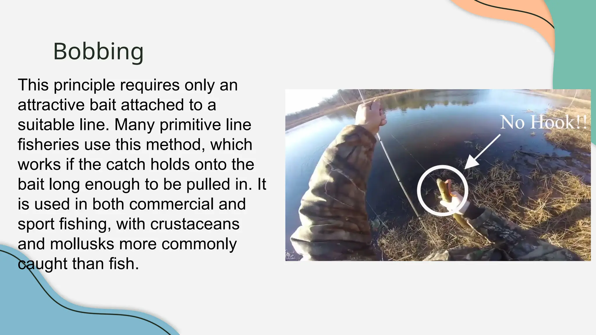 Line Fishing: Basic Implements Capture Fisheries Presentation | PPTX