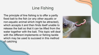Line Fishing: Basic Implements Capture Fisheries Presentation | PPTX