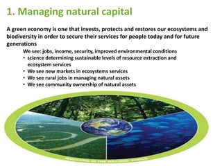 Principles of the Green Economy | PPTX