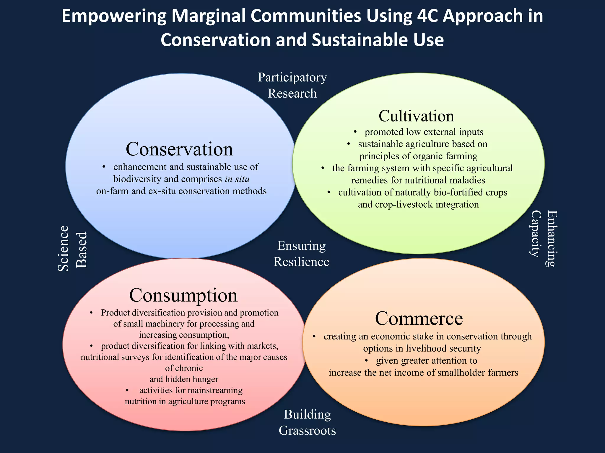 Community Agrobiodiversity Conservation for Food Security and ...