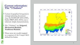 Oliver Kirui - Sudan Rural Development Domains | PPT