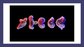 Oliver latta | PPT | Free Download