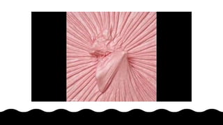 Oliver latta | PPT | Free Download