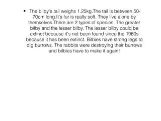 Oliver's bilby report | PPT