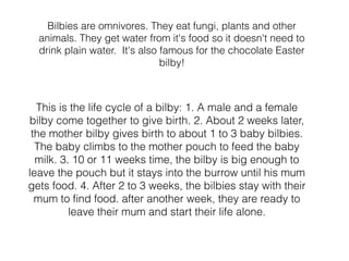 Oliver's bilby report | PPT