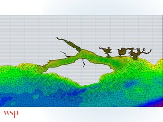 Some of our recent applications of the MIKE software. Oliver Way, WSP ...