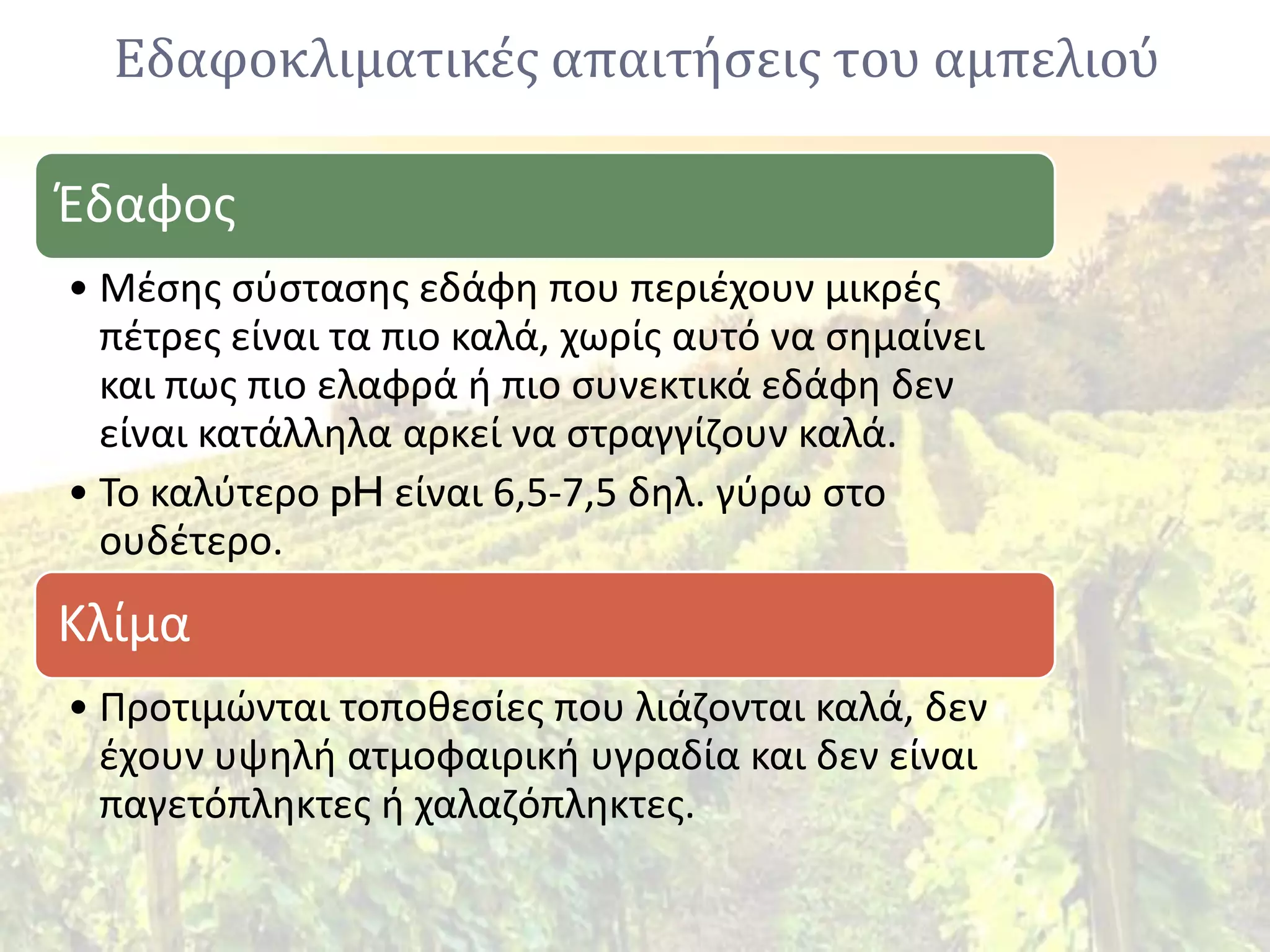 Ελιά - Αμπέλι | PDF
