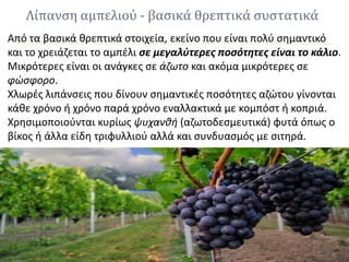 Ελιά - Αμπέλι | PDF