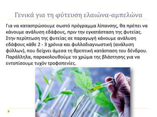 Ελιά - Αμπέλι | PDF