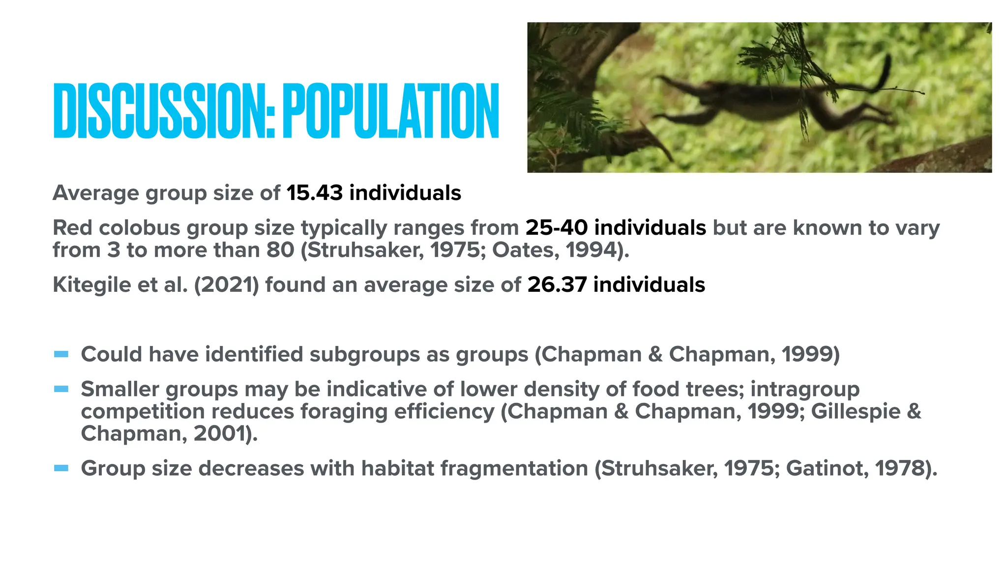 Population and Distribution of the Ashy Red Colobus Monkey | PDF