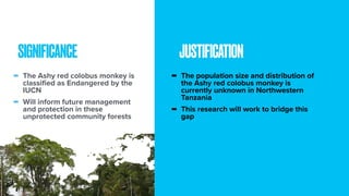 Population and Distribution of the Ashy Red Colobus Monkey | PDF